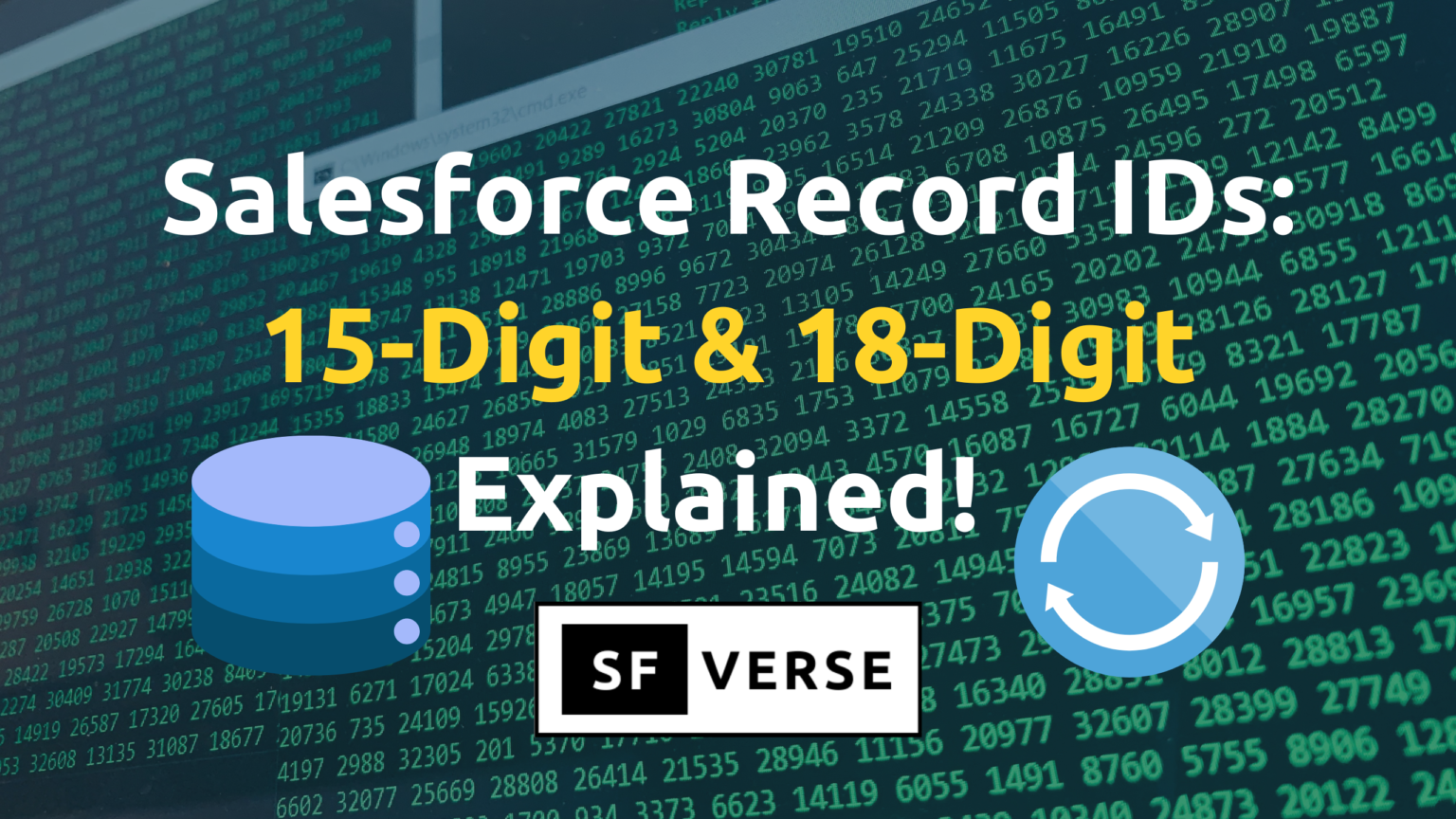 Salesforce 15 Digit And 18 Digit Record Ids Everything You Need To Know Salesforceverse 